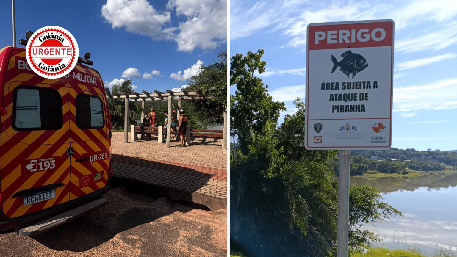 Adolescentes ficam feridos após ataques de piranhas em área sinalizada ...